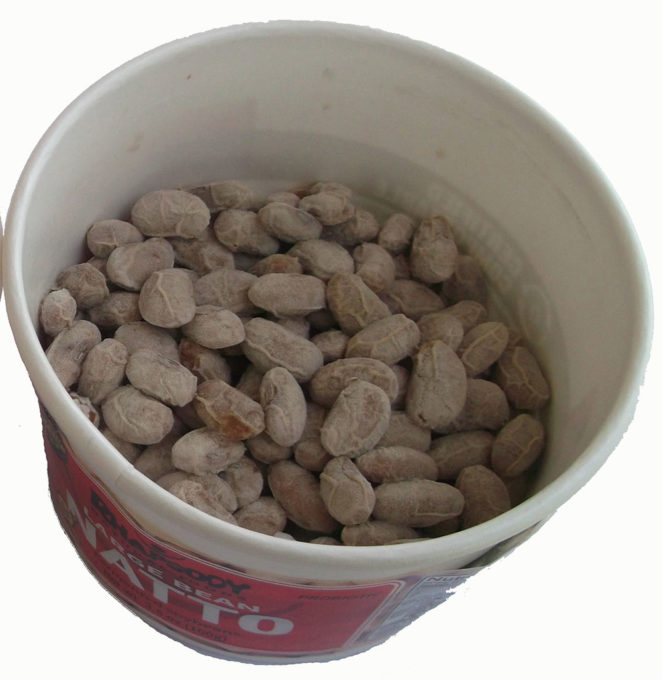Organic Natto - Rhapsody Natural Foods in Cabot Vermont